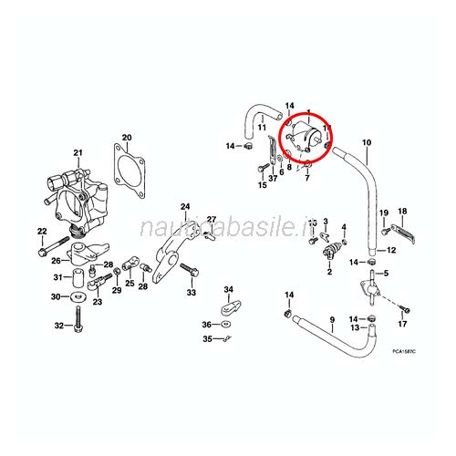 Filtro carburante benzina Evinrude Johnson | Nautica Basile
