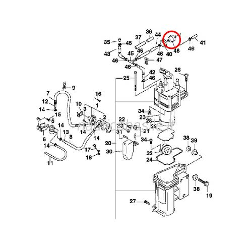 Filtro carburante benzina Johnson BRP BRP-E | Nautica Basile